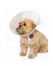 IMS Transparent E-Collars - IMS Euro