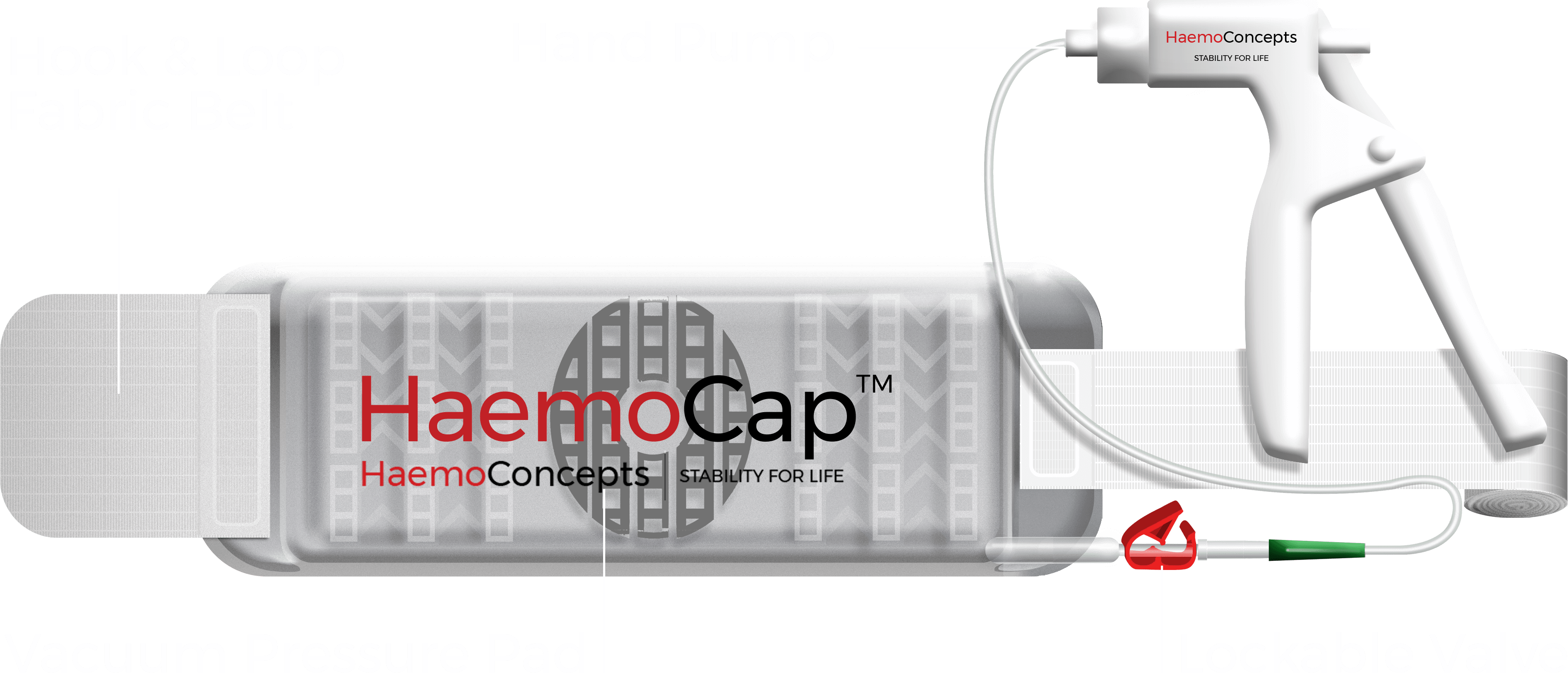 Haemocap Multisite - IMS Euro