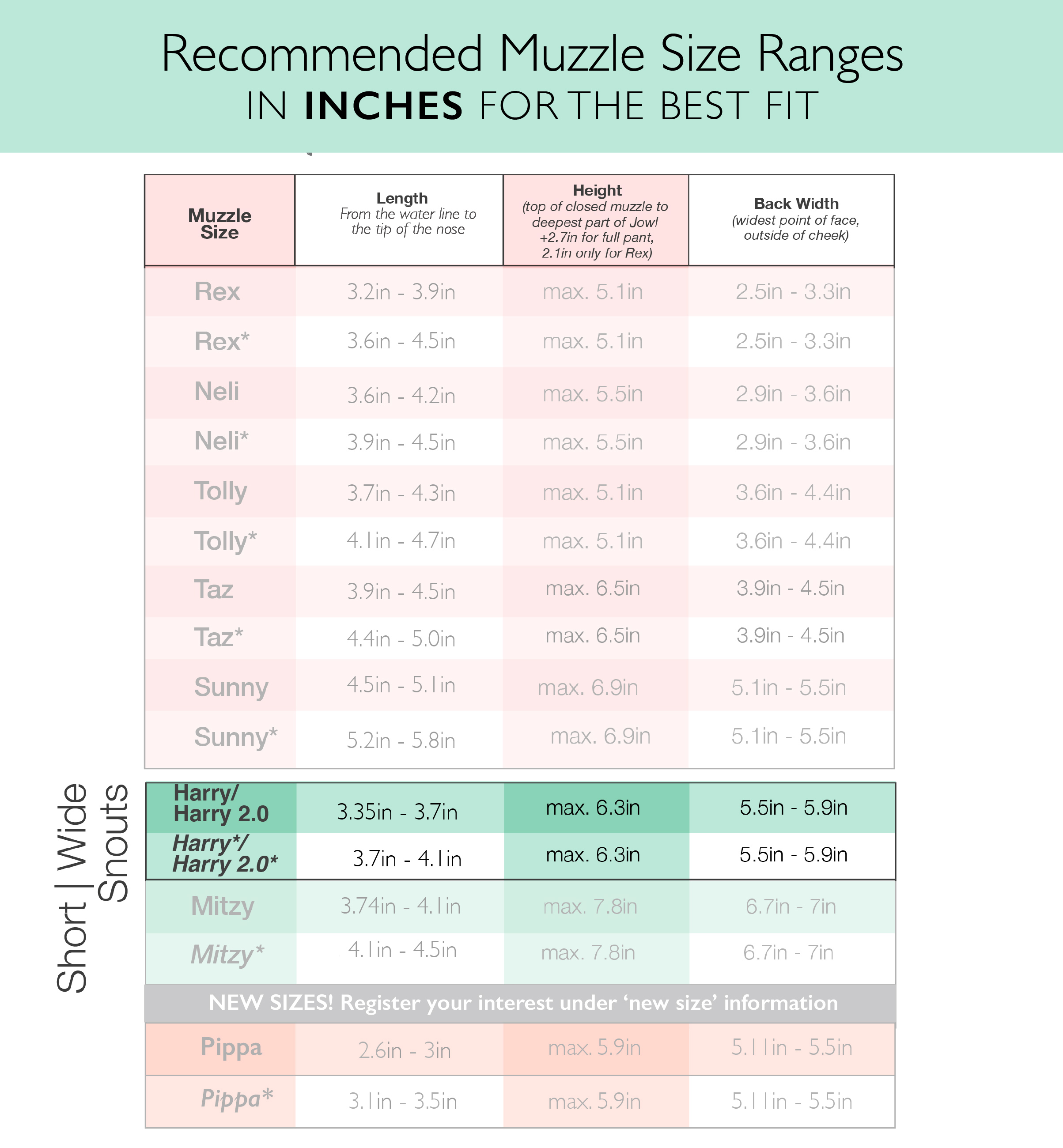 Muzzle Movement Harry Muzzle | IMS Euro
